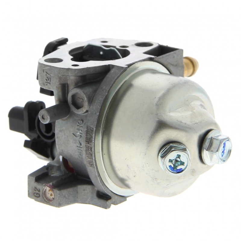 Carburateur Ruixing T450 170021651